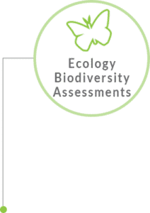 EcoSupport